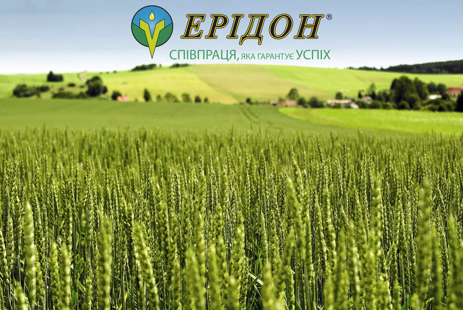 «Слово і діло - одне ціле» — Новини компанії — Новини — Eridon