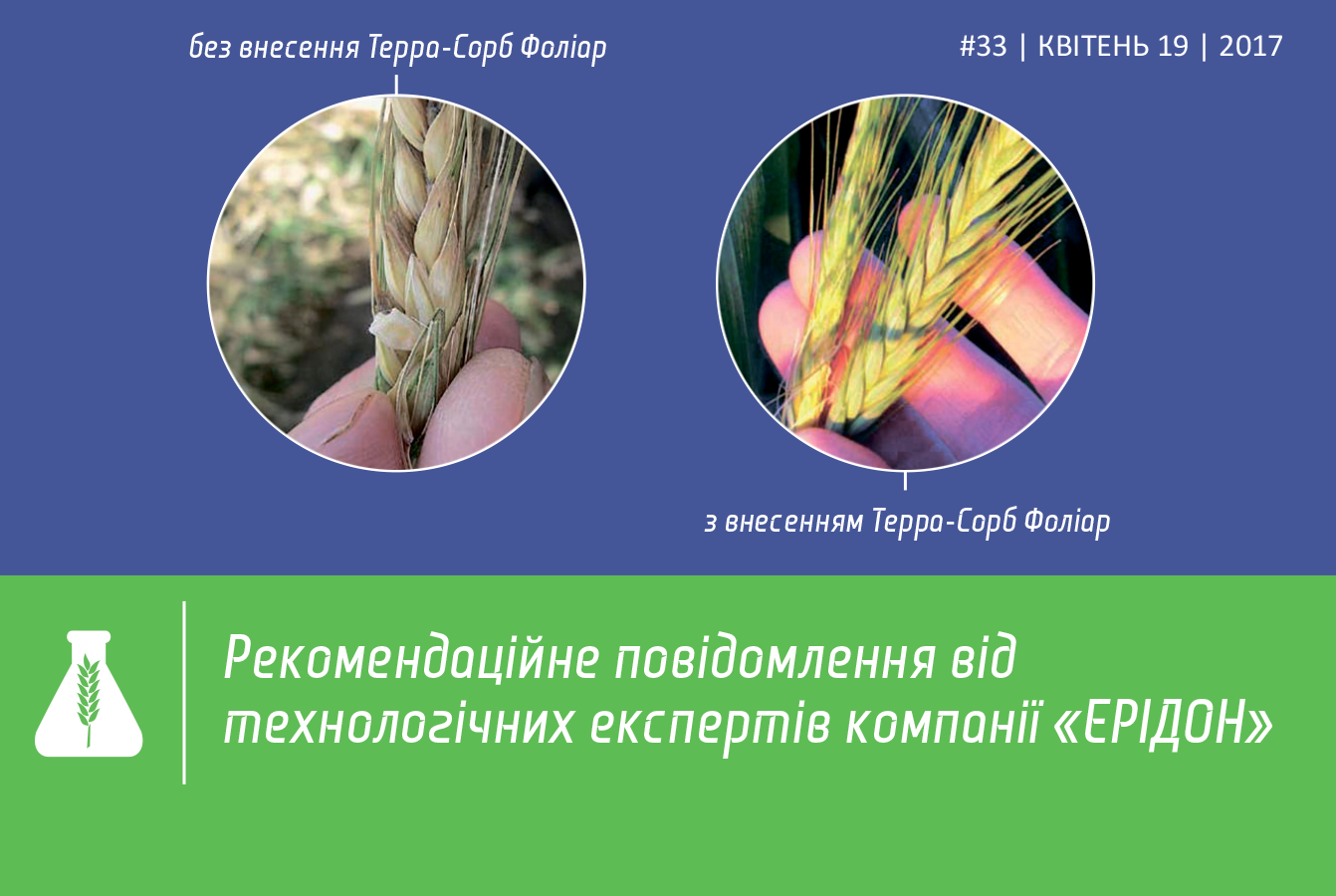 Захист сільськогосподарських культур від приморозків — Агропомічник ...